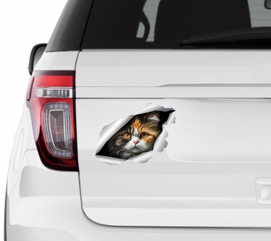 Persian Cat Stickers Car Tricolor Persian Cat Stickers Decal 3D ...