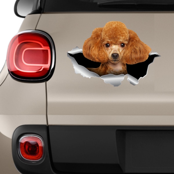 Poodle Sticker - Etsy
