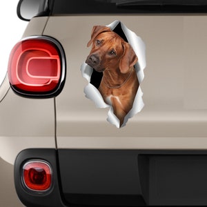 Rhodesian Ridgeback Car Sticker Rhodesian Ridgeback Sticker Dog Car ...