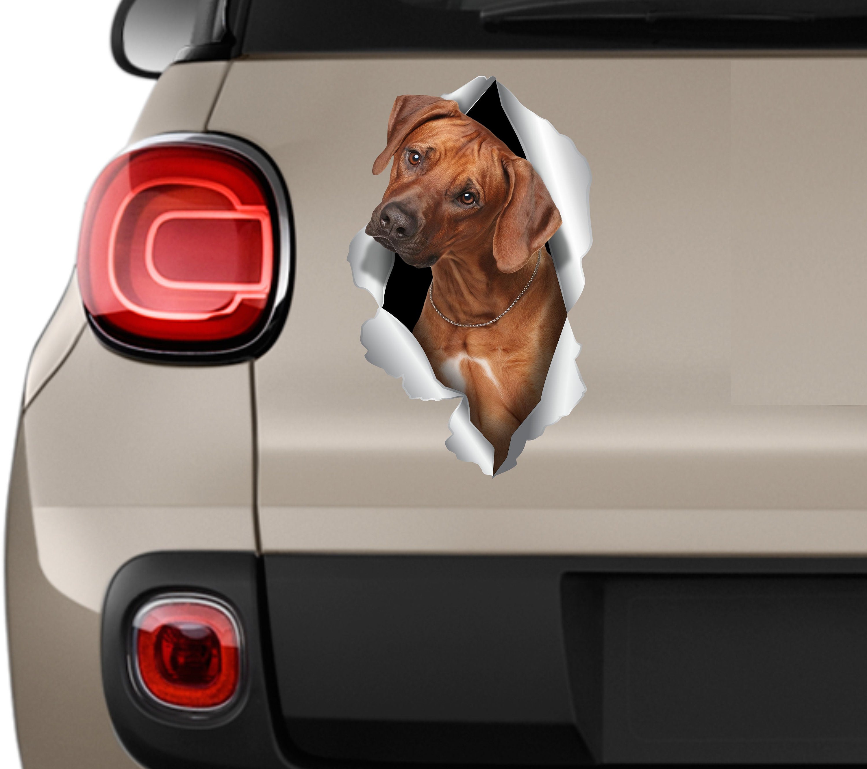 Rhodesian Ridgeback Car Sticker Rhodesian Ridgeback Sticker - Etsy