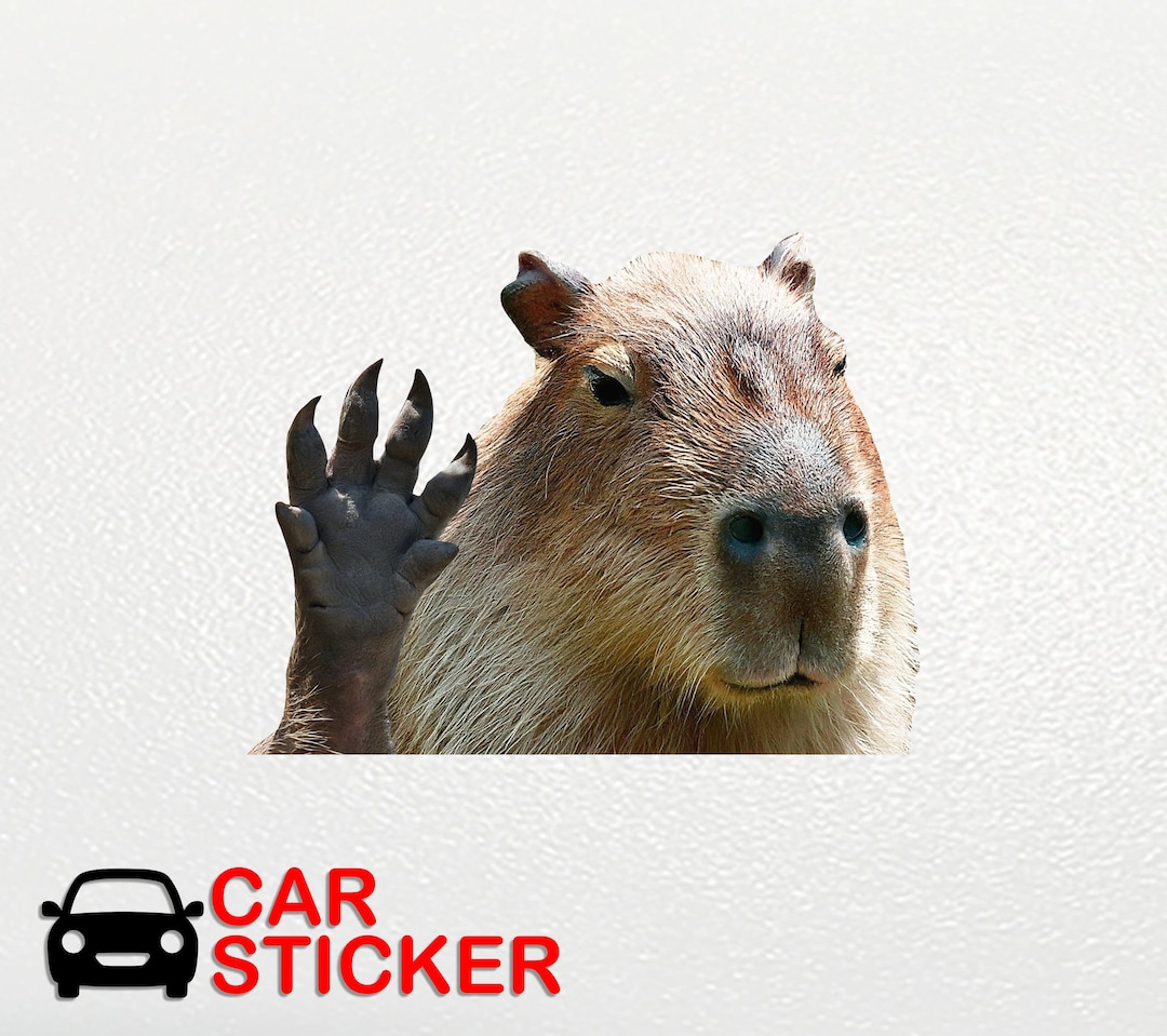 Capybara Hello Capybara Car Sticker Capybara Paws Sticker Car ...