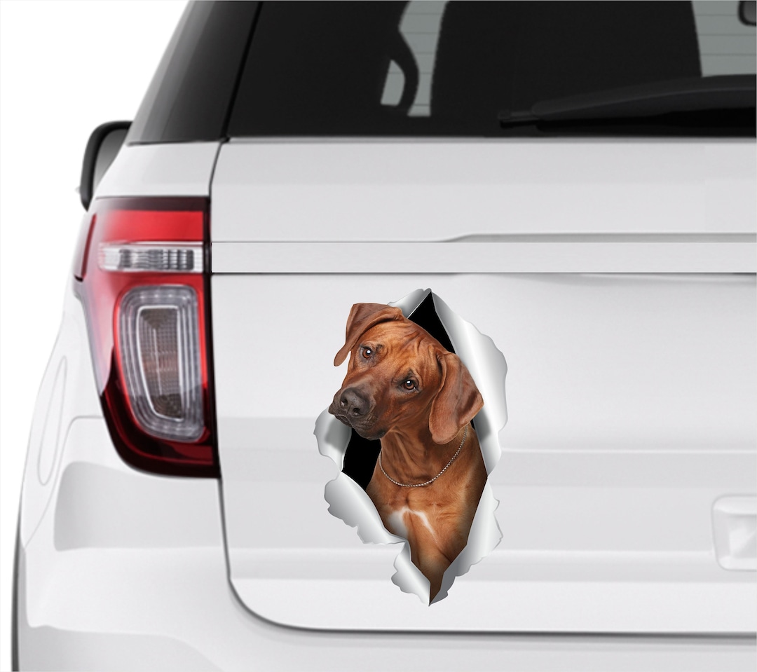 Rhodesian Ridgeback Car Sticker Rhodesian Ridgeback Sticker Dog Car ...