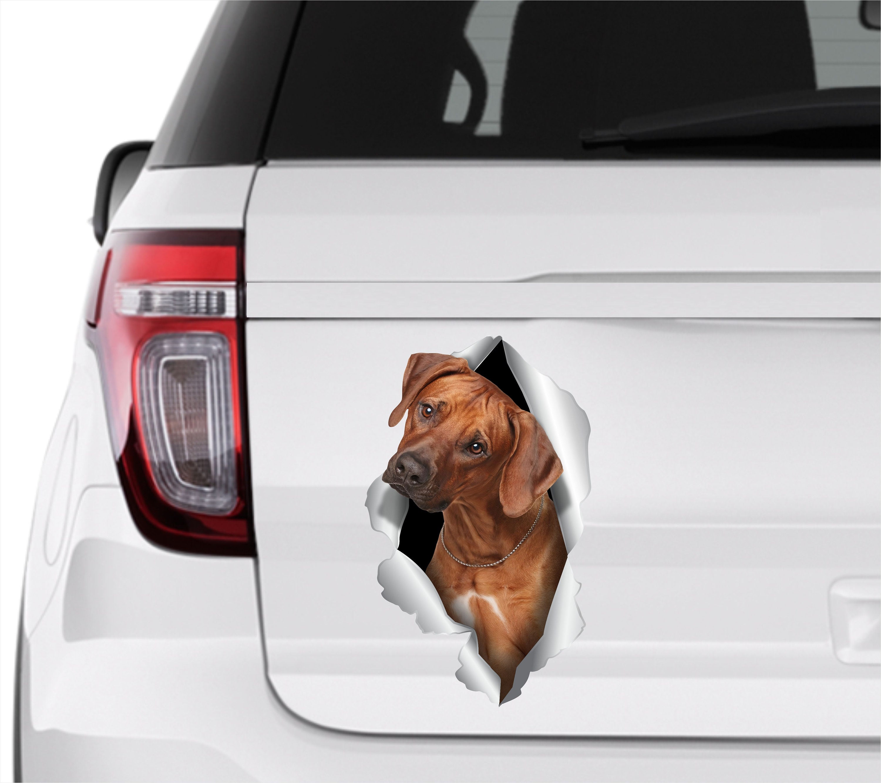 Rhodesian Ridgeback Car Sticker Rhodesian Ridgeback Sticker - Etsy