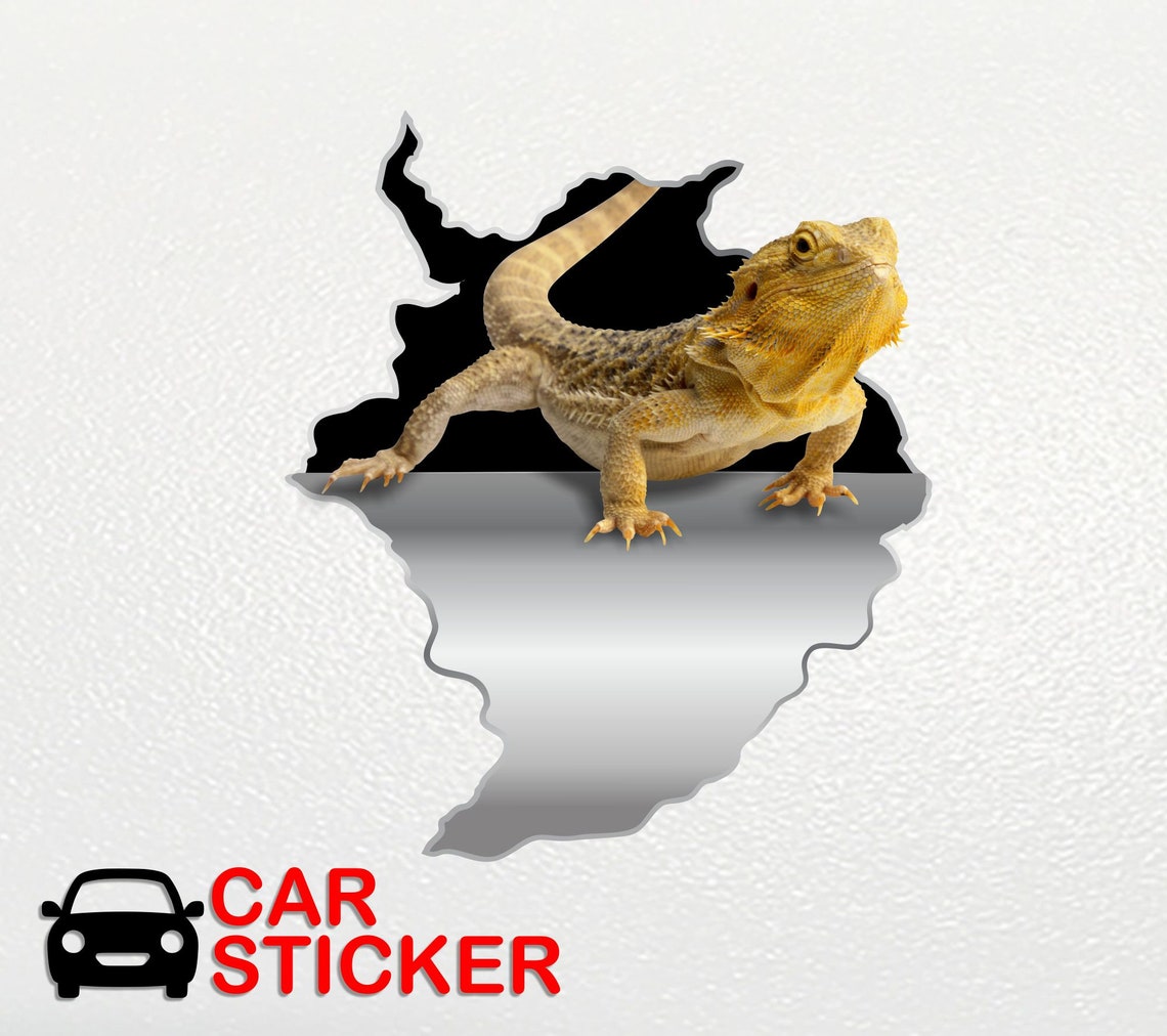 Lizard car decor Car sticker Lizard sticker Lizard deco | Etsy