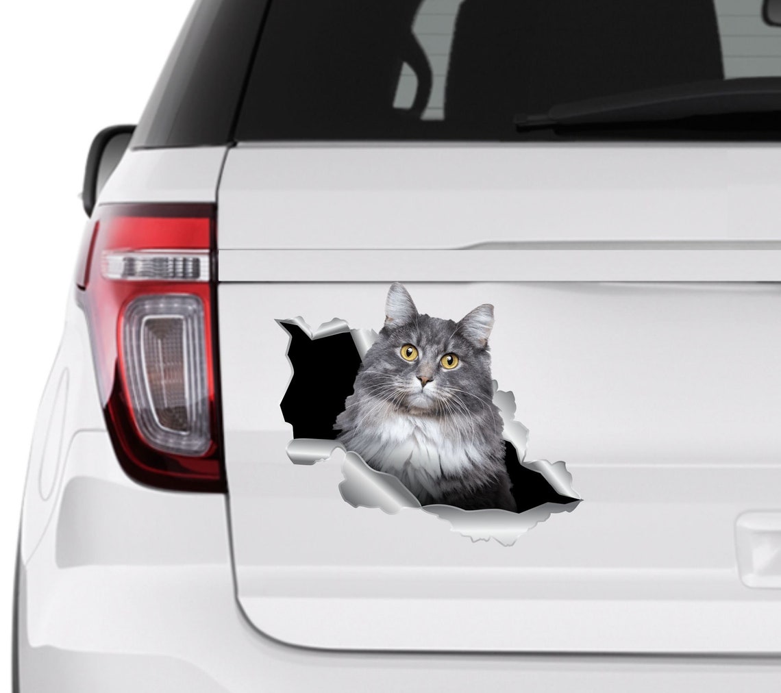 Pegatina de gato grisComanía de gato de coche Pegatinas de - Etsy España