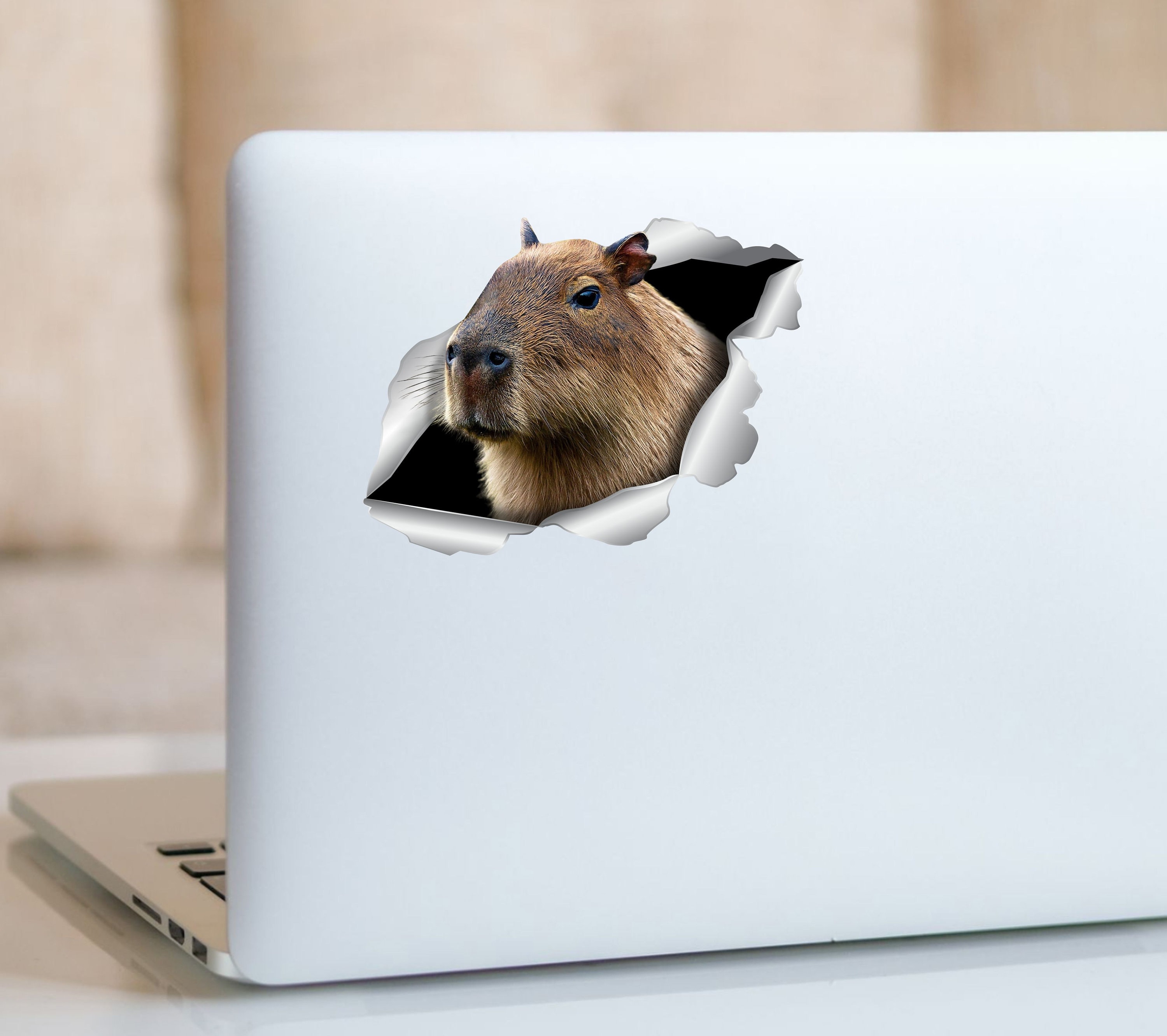 Capybara Sticker Capybara Car Sticker Capybara Sticker Car Decorations ...