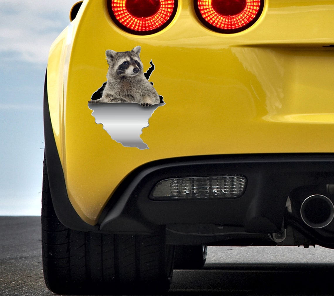 Auto Sticker Raccoon Sticker Coon Sticker Racoon Sticker Car Decal Car ...