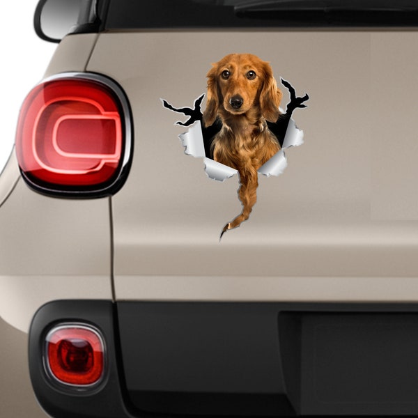Dog and Cat Bumper Sticker - Etsy