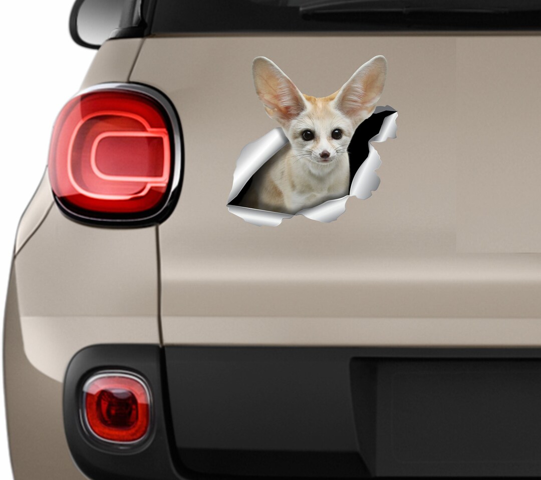 Fennec Stickes Miniature Fox Sticker Car Stickers Fox Decal Wild ...