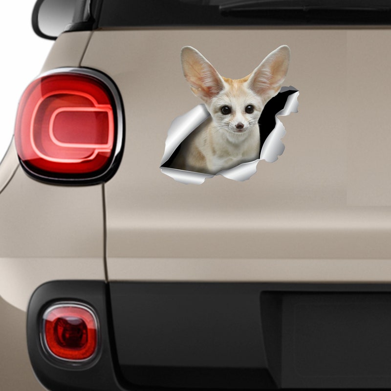 Fennec Decal - Etsy