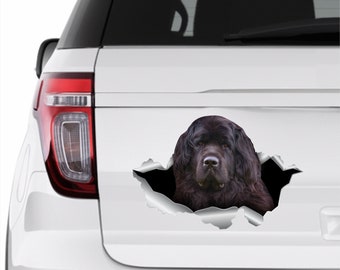 Newfoundland Car Sticker Dog Car Decal Newfie Decal Car - Etsy Canada