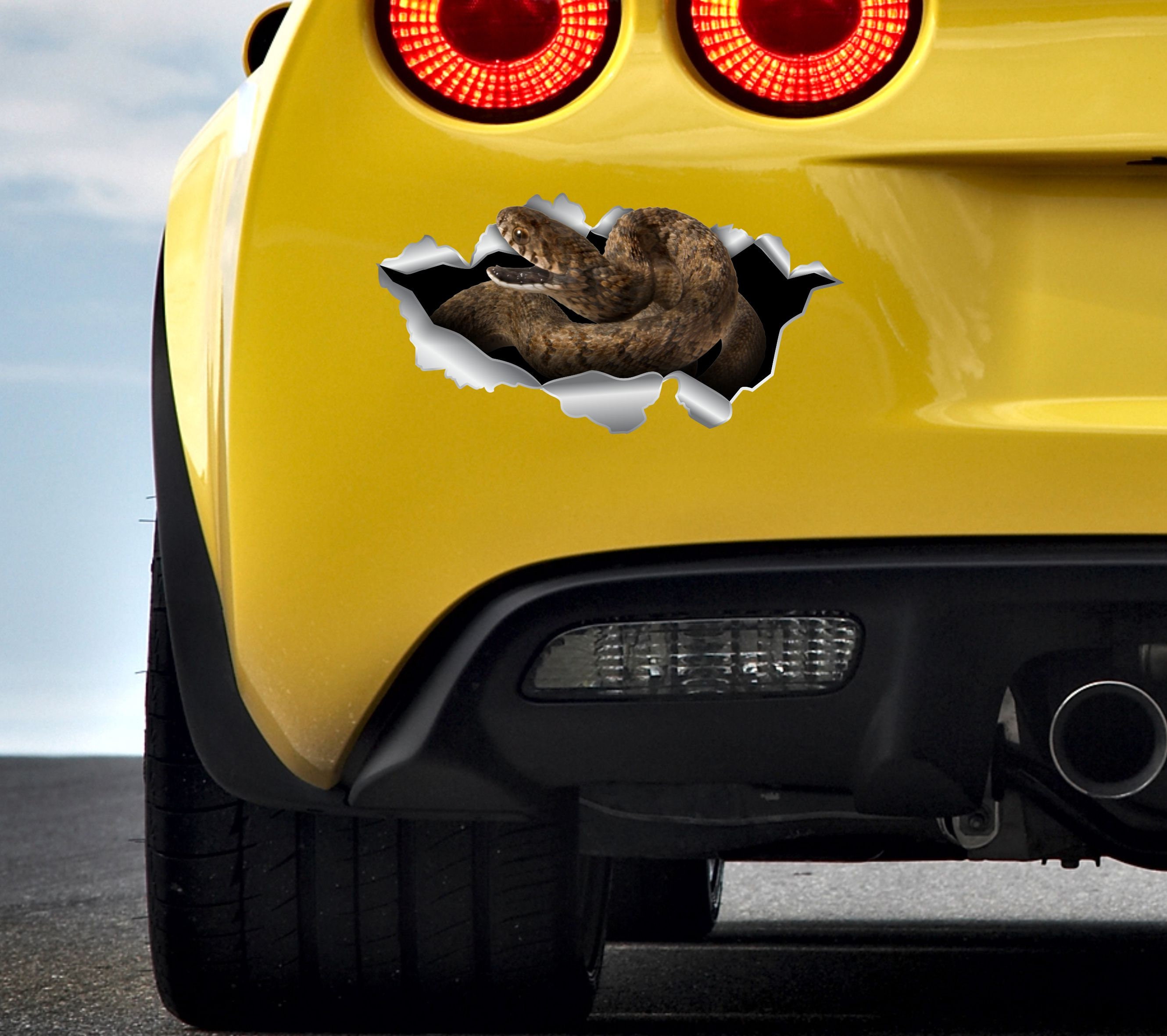 Snake sticker Car sticker Rattlesnake sticker Tiger python | Etsy