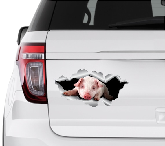 Pig Decal Car Decoration Pig Sticker Auto Pig Sticker Car | Etsy
