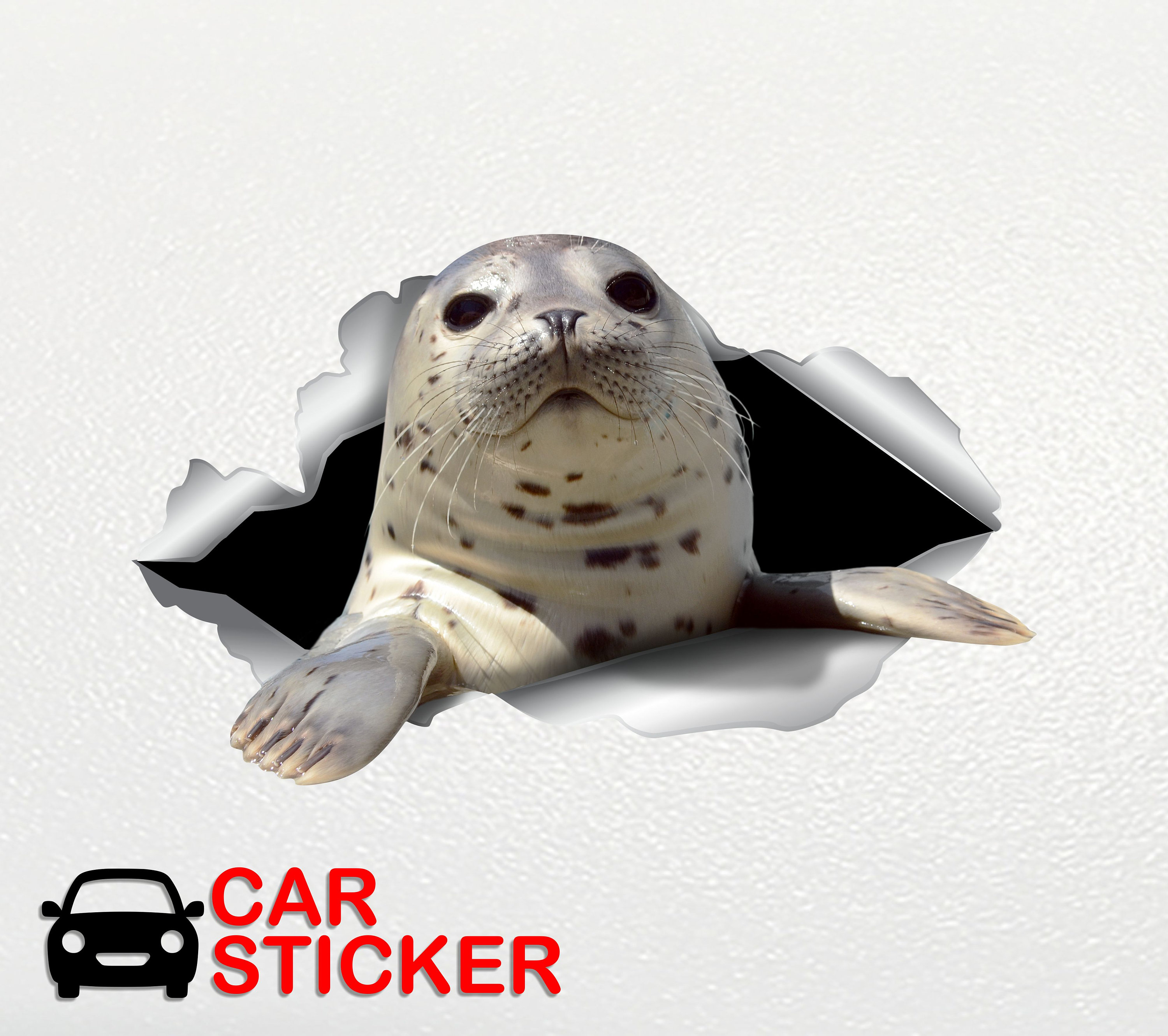 Harbor Seal Harbor Sticker Car Sticker Harbor Decal Car - Etsy