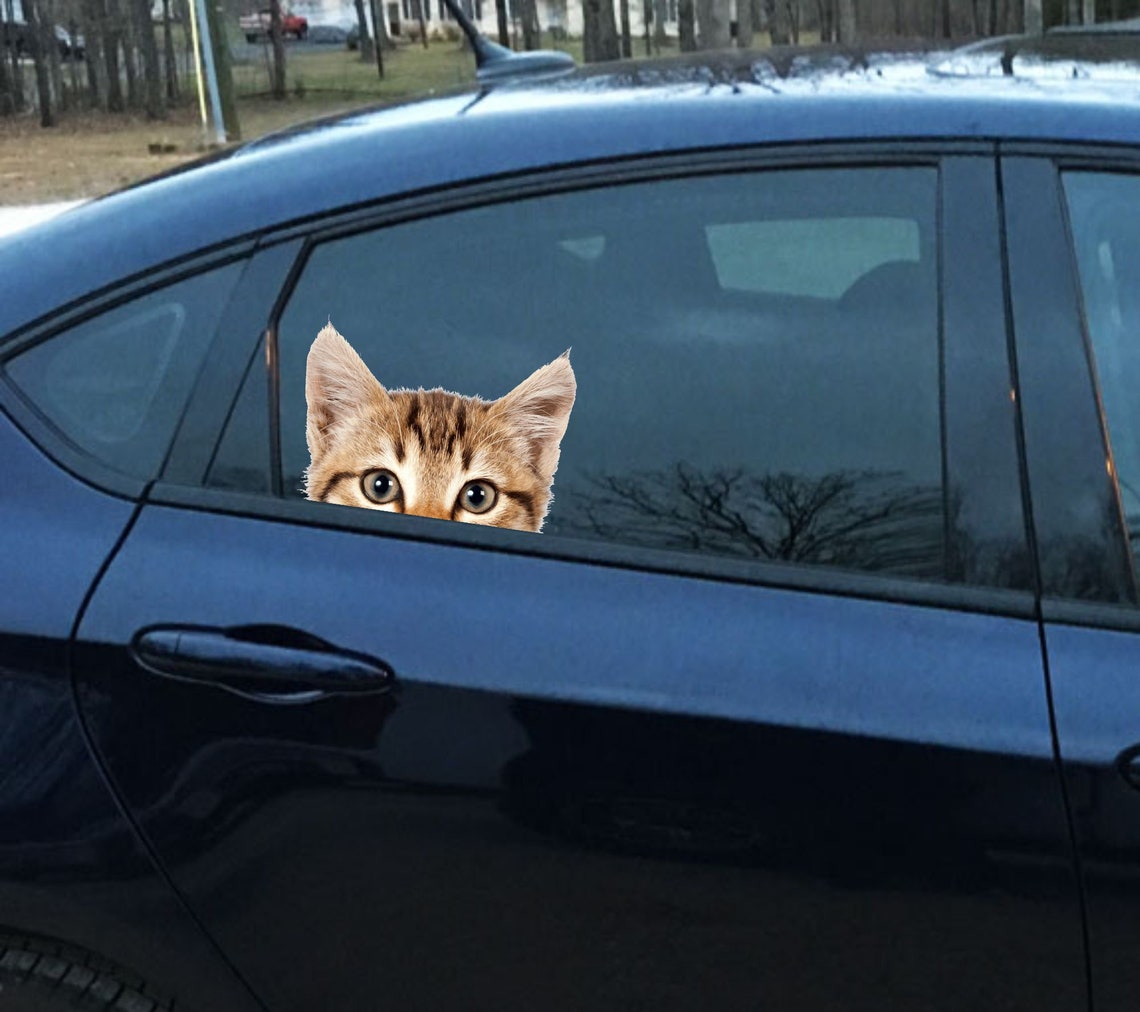 Stickers Car Cat Art Cat Stickers 3D Stickers Bumper Car Art Vinyl ...