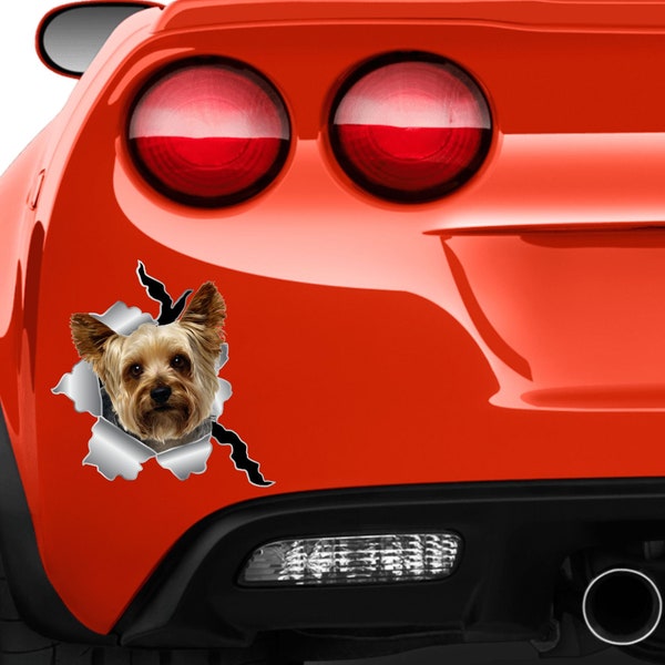 Car Window Cat Svg - Etsy