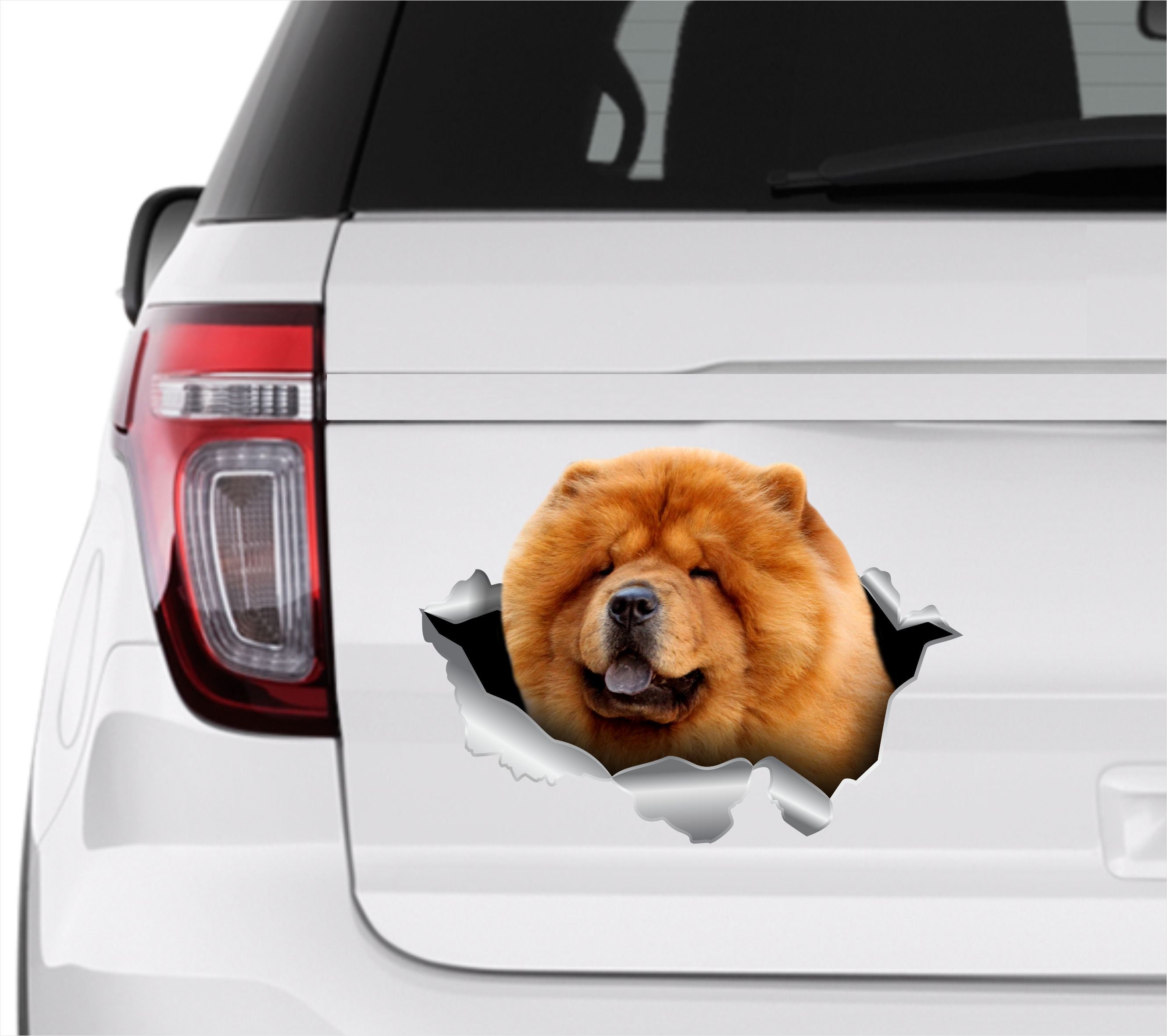 Car sticker Chow Chow sticker Chow Chow dog Chow Chow car | Etsy