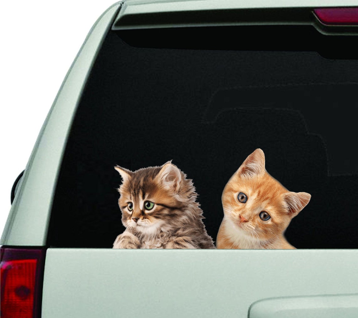 Stickers Car Two Cat Art Pretty Cat 3D Sticker Bumper Car Art | Etsy