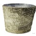 9 Sizes, Birch Centerpiece, White Birch Planter, Planter Pot, Cache Pot ...