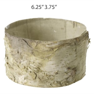 White Birch Bark Planter, Christmas Floral Decor - Etsy