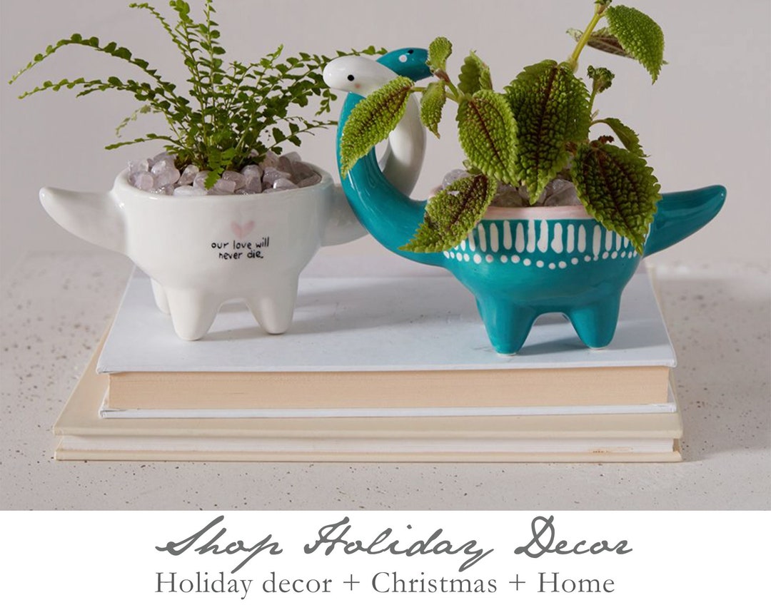 Valentine's Planter, Ceramic Pottery, Valentine Decor, Dinosaur Pots ...