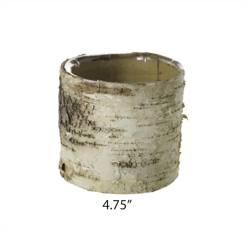 White Birch Bark Planter, Christmas Floral Decor - Etsy
