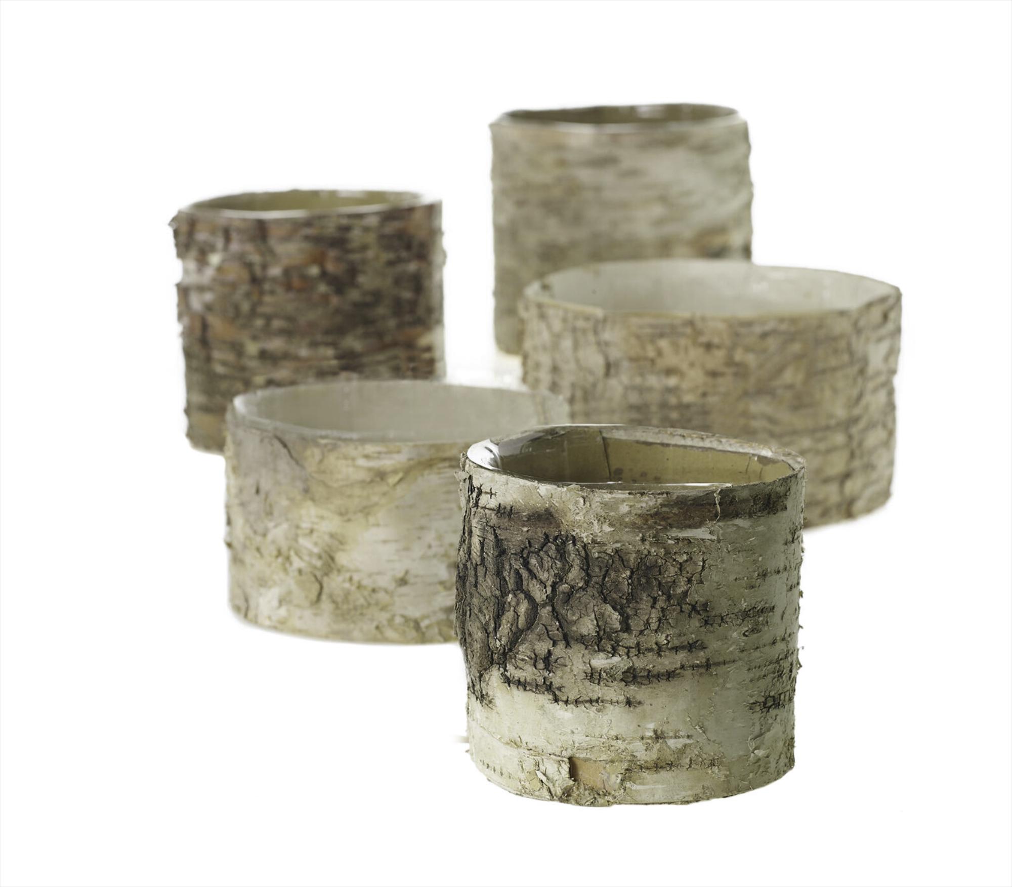 White Birch Bark Planter, Christmas Floral Decor - Etsy