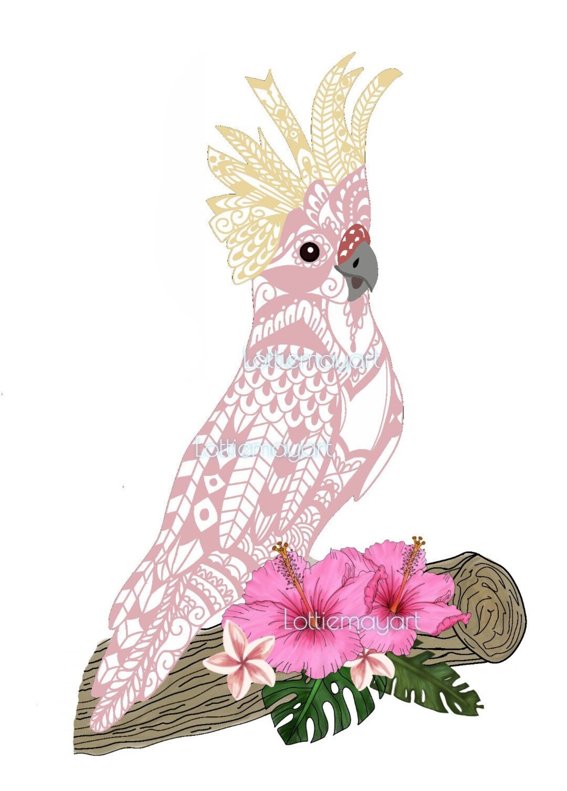 Cockatoo Mandala Design Digital Downloadable Transparent Png - Etsy