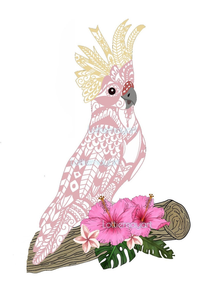 Cockatoo Mandala Design Digital Downloadable Transparent Png - Etsy