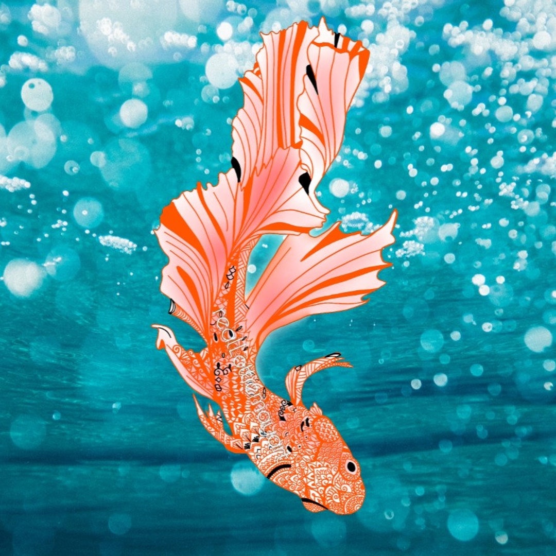 Koi Fish Mandala Design - Etsy