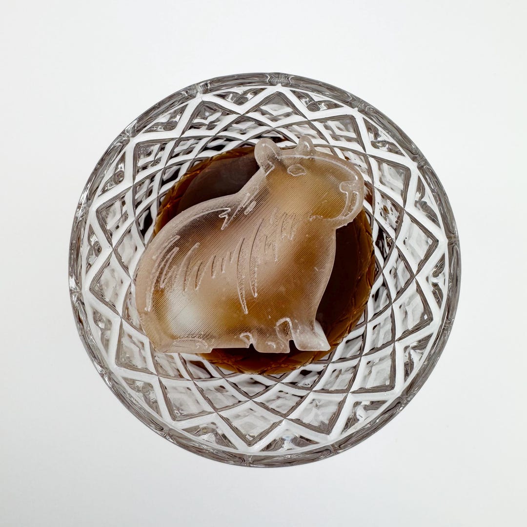 Capybara Ice Molds and Trays - Perfect Gift for the Supersized Rodent ...