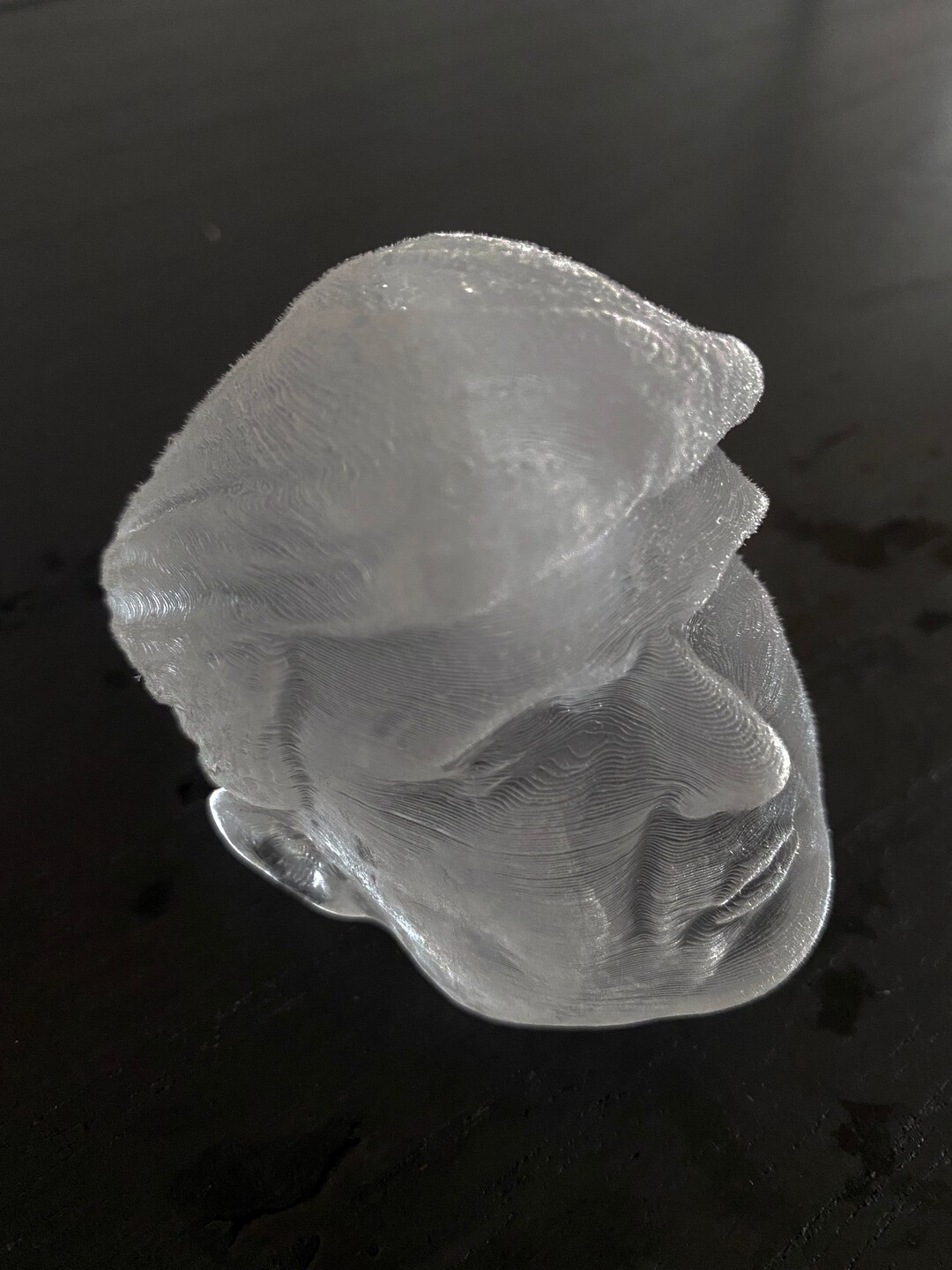 President Trump Silicone Ice Tray – Novelty Head Ice Mold - Etsy