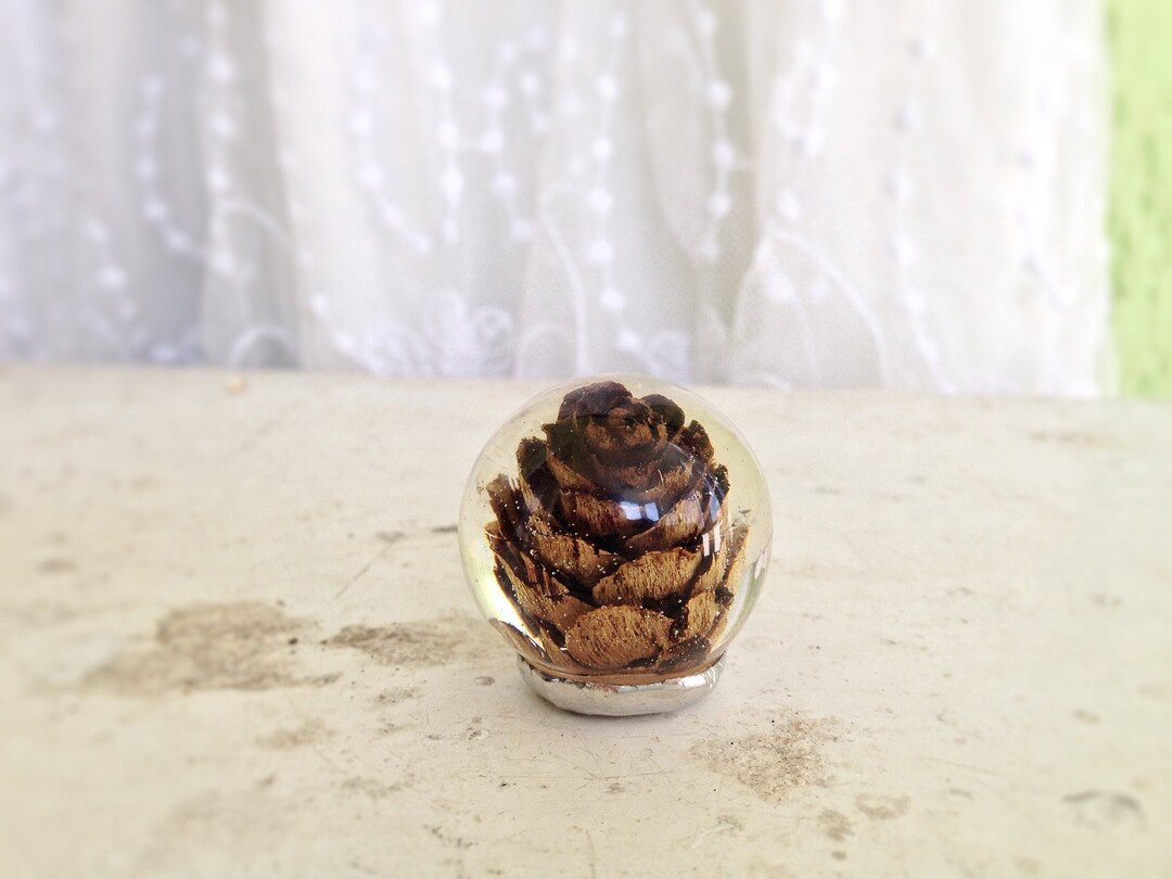 Resin Art Miniature With Conifer Cone, Table Top Stained Decor With ...
