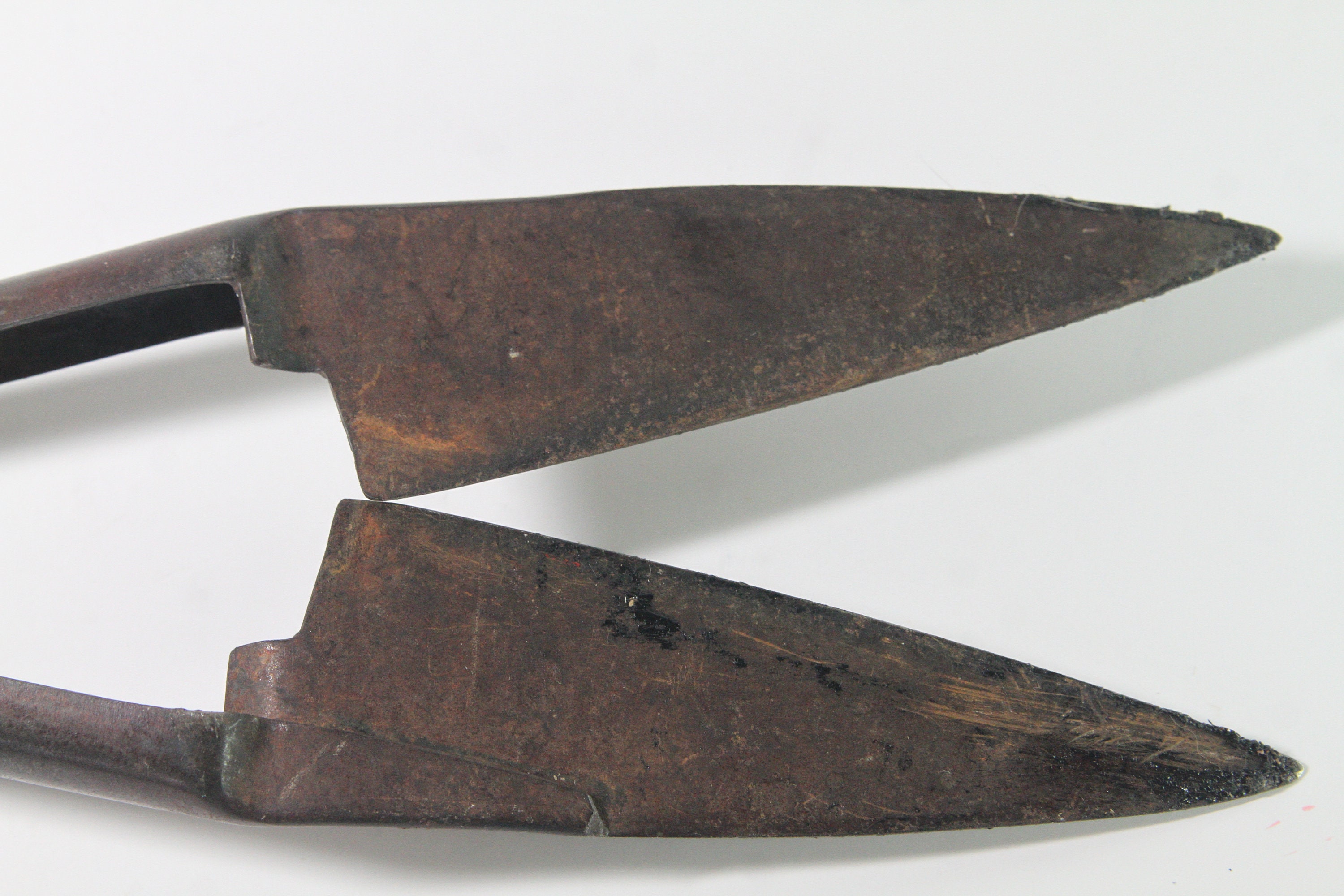 Vintage Metal Sheep Shearers Antique Tool Shabby Chic Retro Wool ...