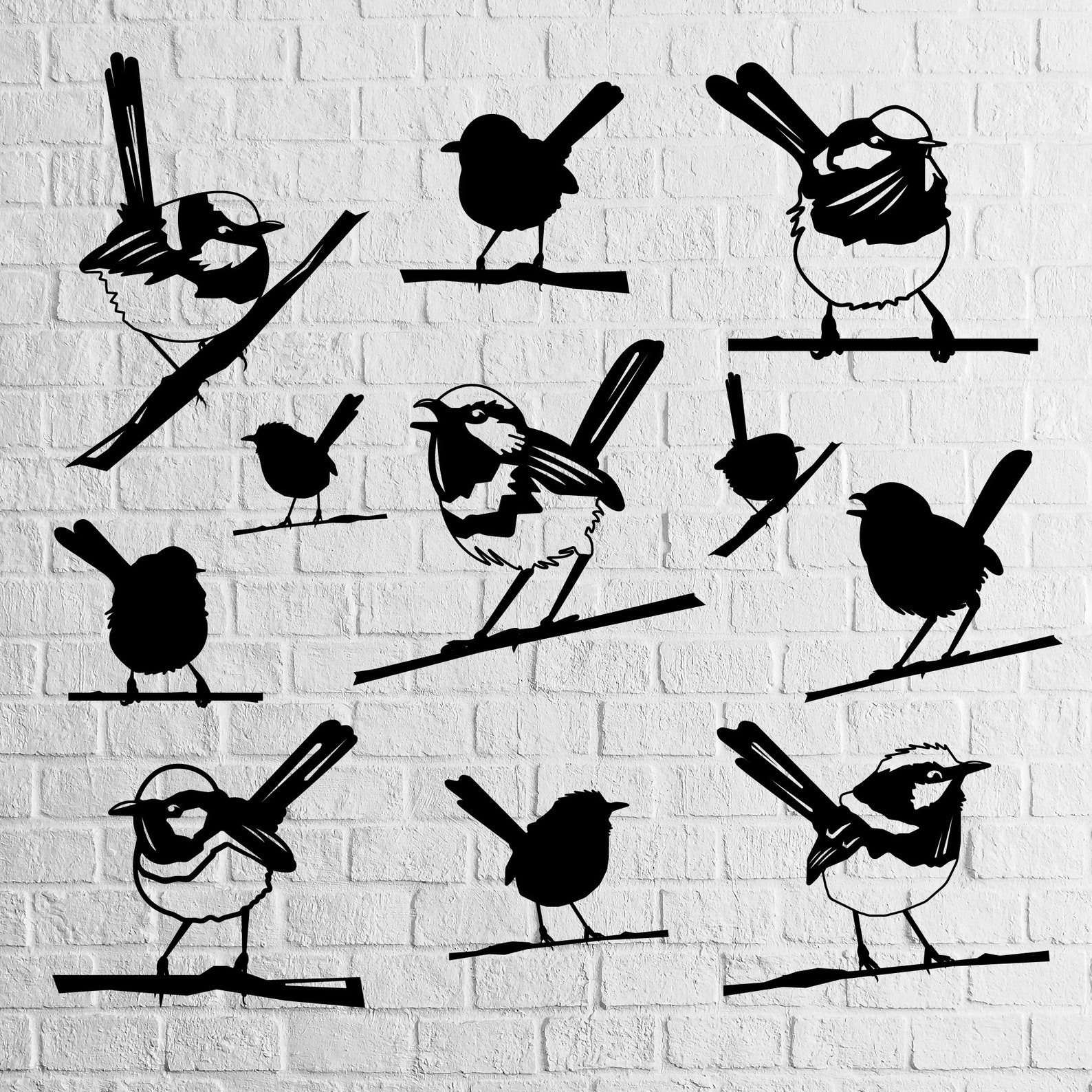 Blue Wren Svg Files for Cricut, Australian Bird on Branch Vector for ...