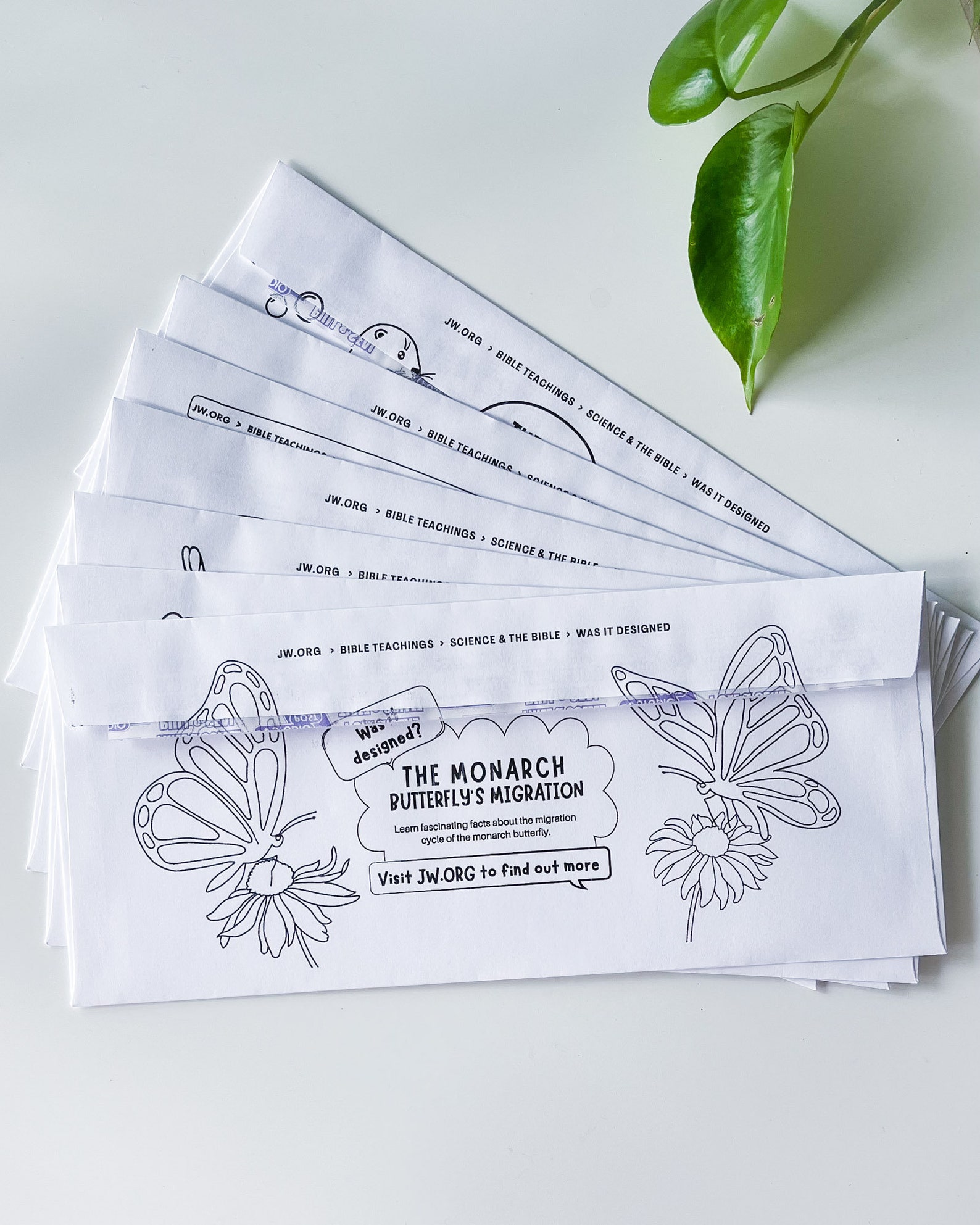 JW Printable Coloring Envelopes for Kids Was It Designed Jw - Etsy