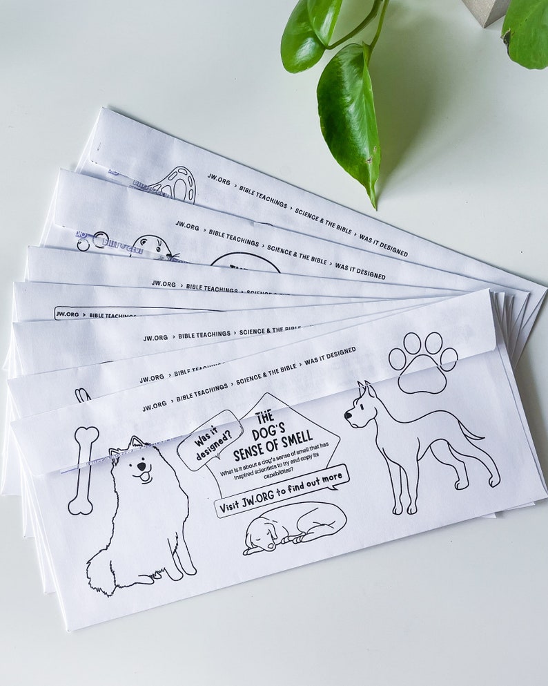 JW Letter Writing for Kids Printable Colouring Envelope Stationery for ...