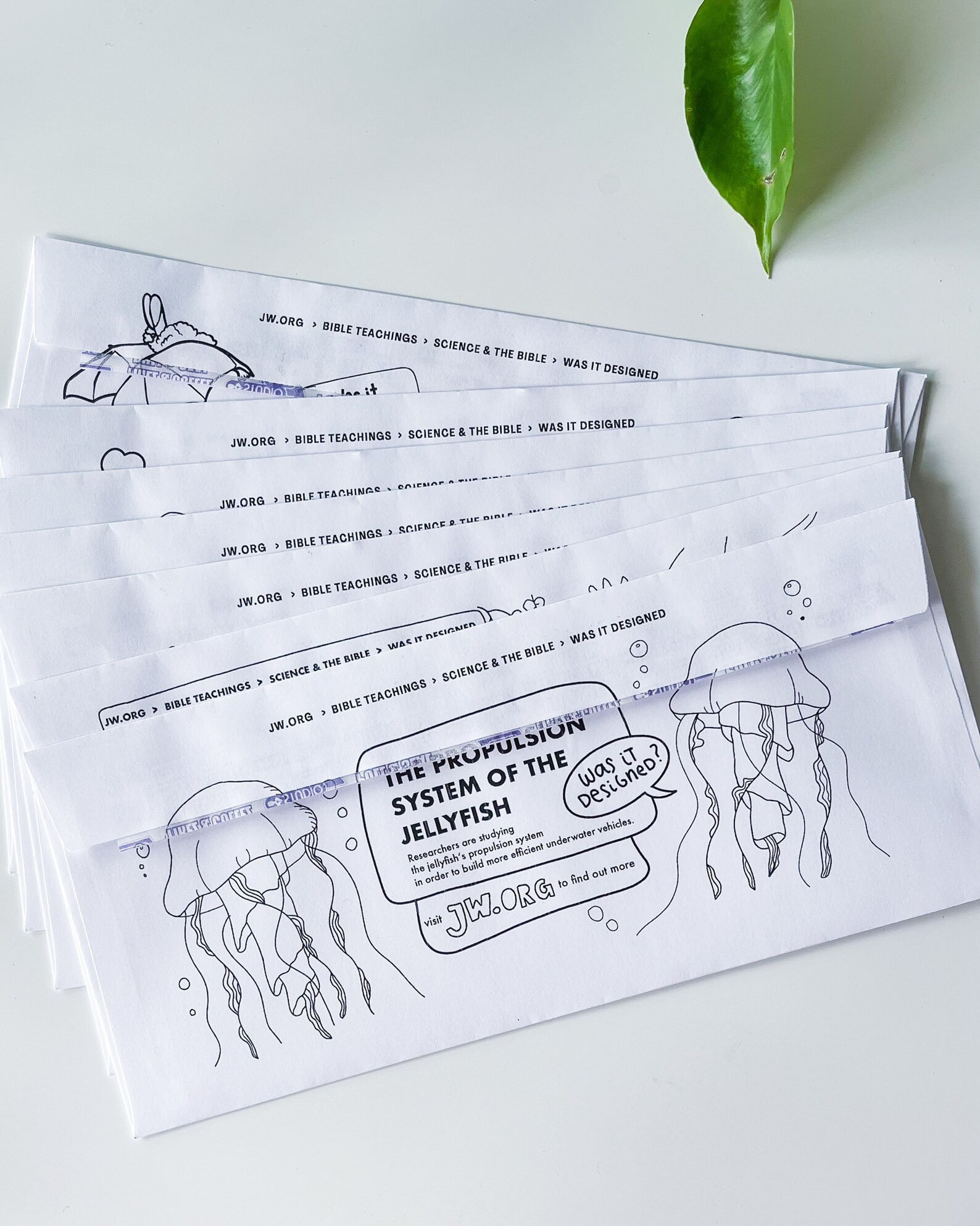 JW Printable Coloring Envelopes for Kids Was It Designed Jw - Etsy
