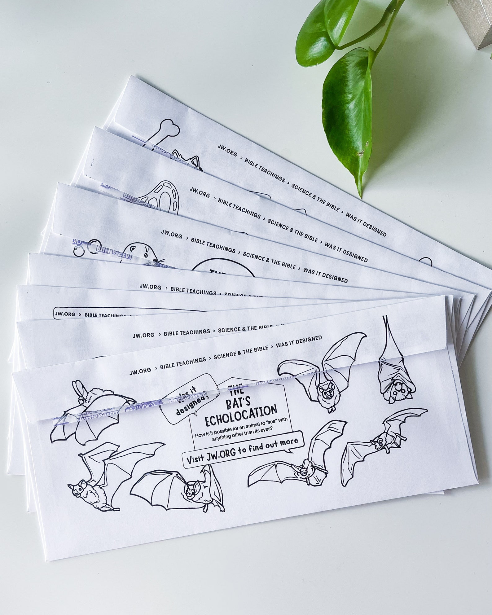 JW Printable Coloring Envelopes for Kids Was It Designed Jw - Etsy