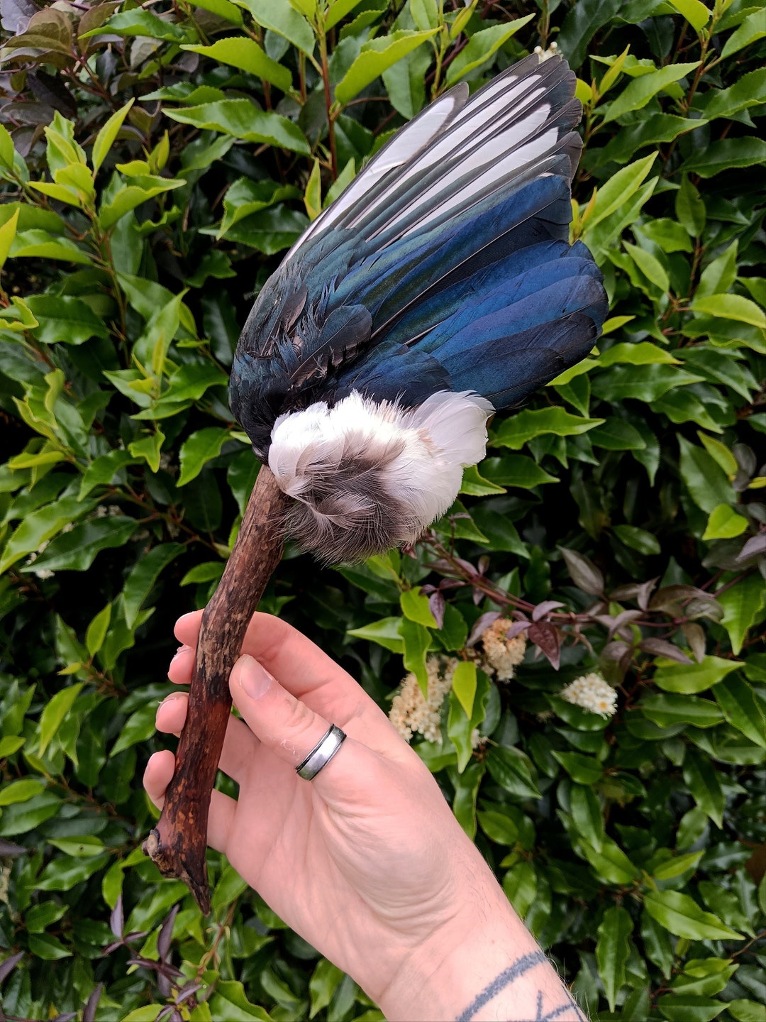 Magpie Wing Smoke Cleansing Fan - Etsy