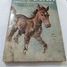 Vintage Sea Star Orphan of Chincoteague Paperback Henry 1966 Scholastic ...