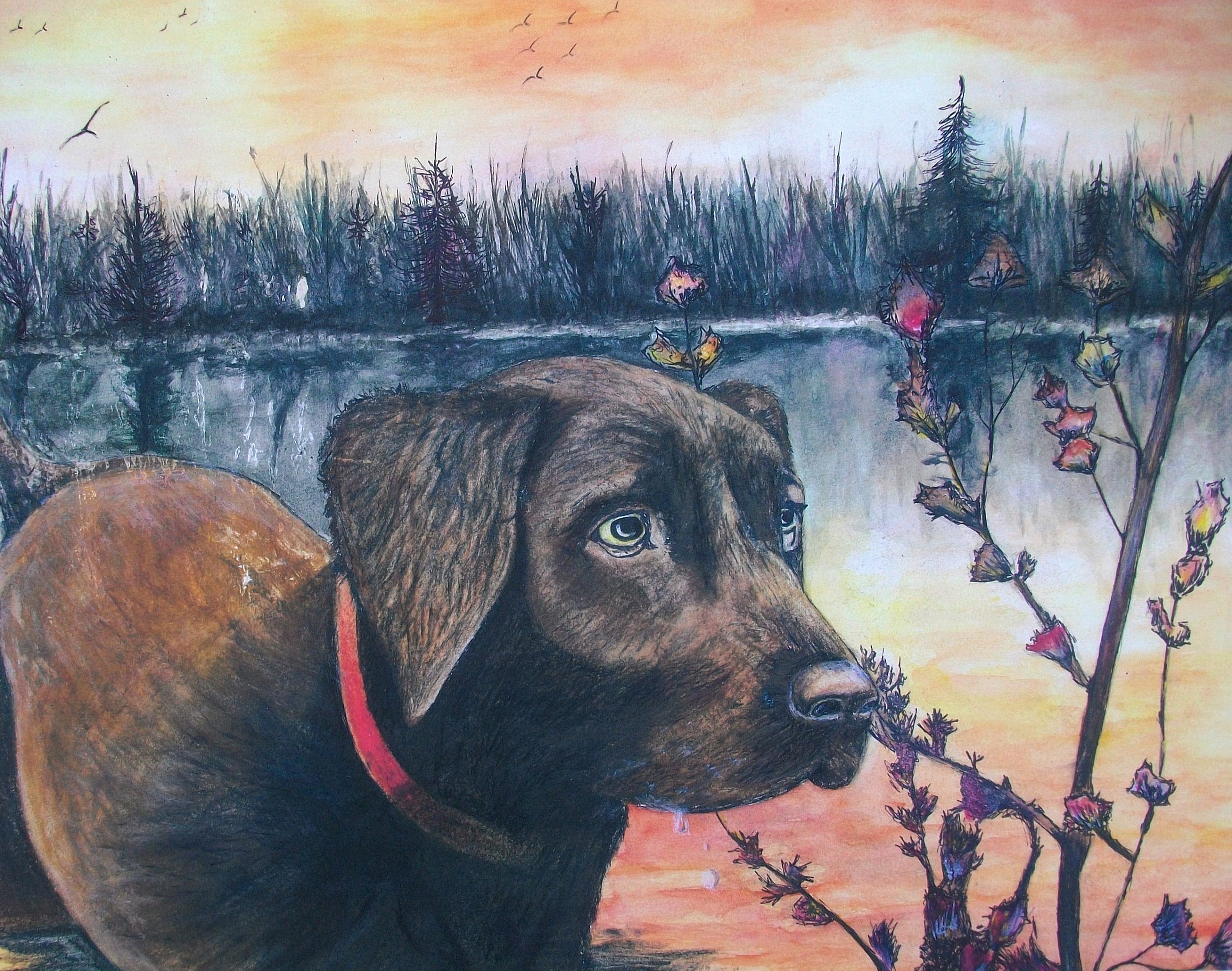 Mixed Media Chocolate Lab Art Print - Etsy