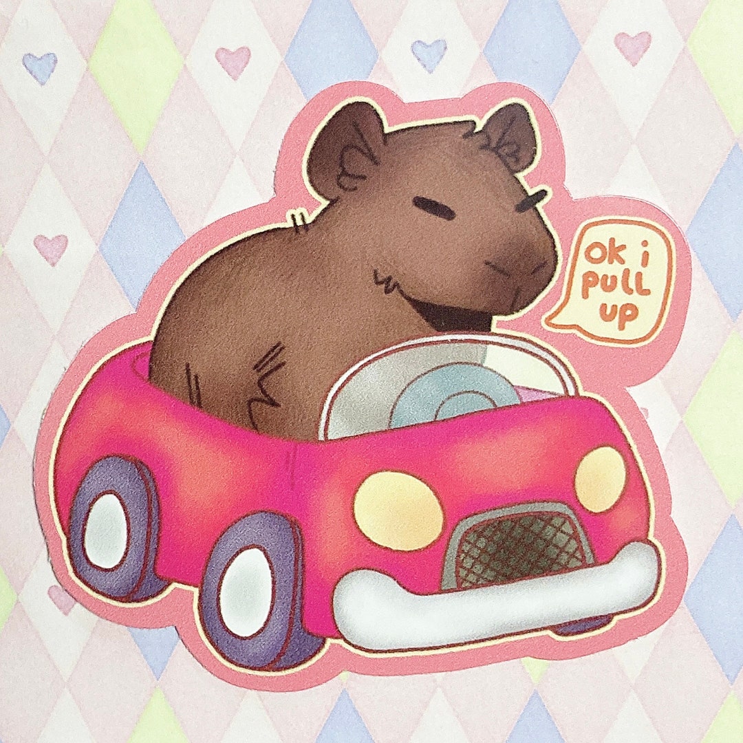 Capybara Ok I Pull up Funny Meme Car Vinyl Sticker! (3") - Etsy