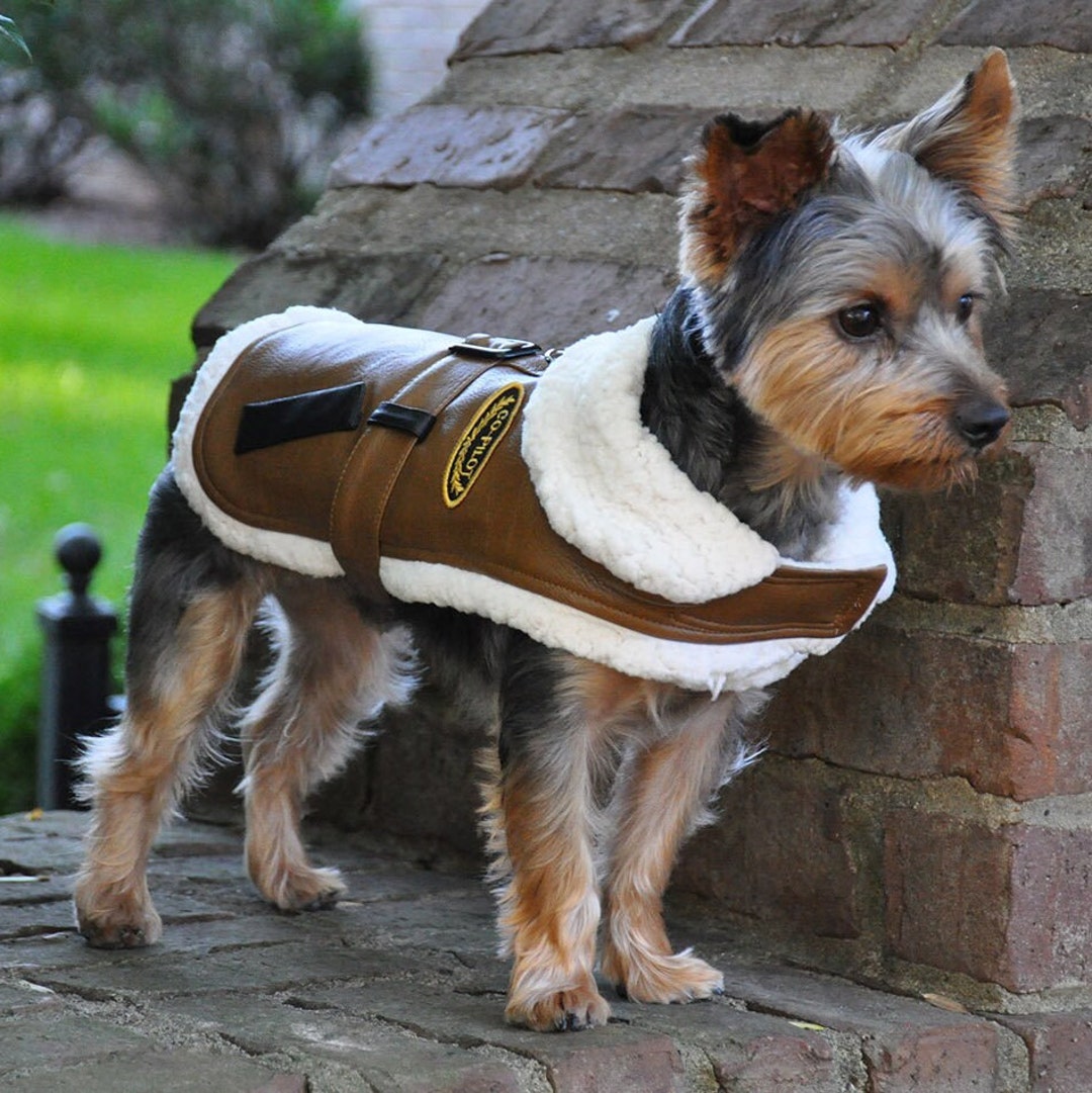 Aviation Brown Bomber Harness Jacket - Etsy