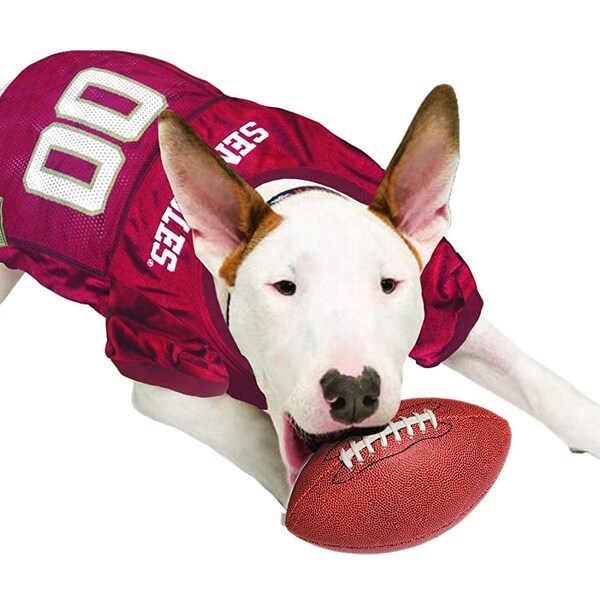 Florida State - Etsy