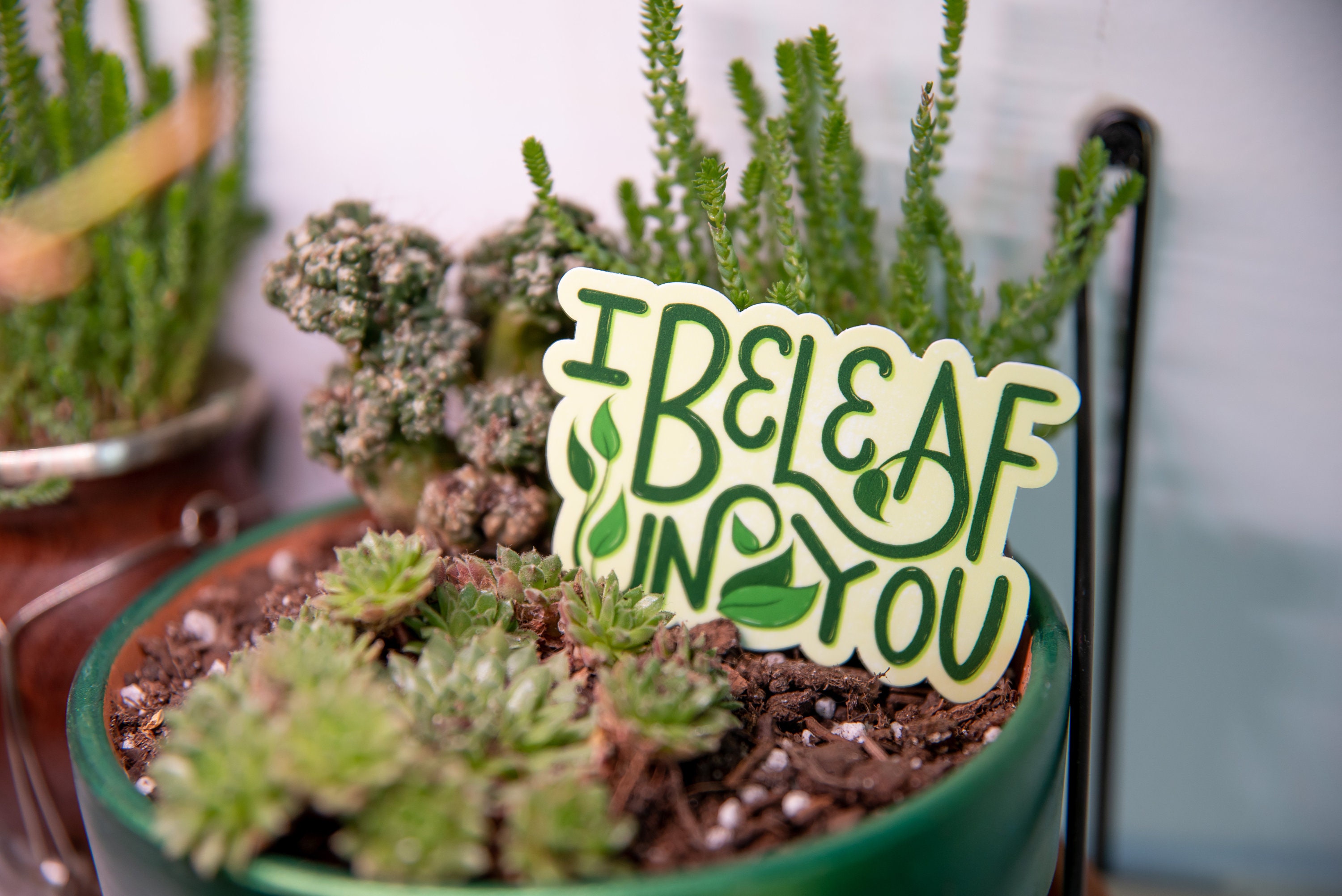 I Beleaf In You 3'' Sticker | Etsy