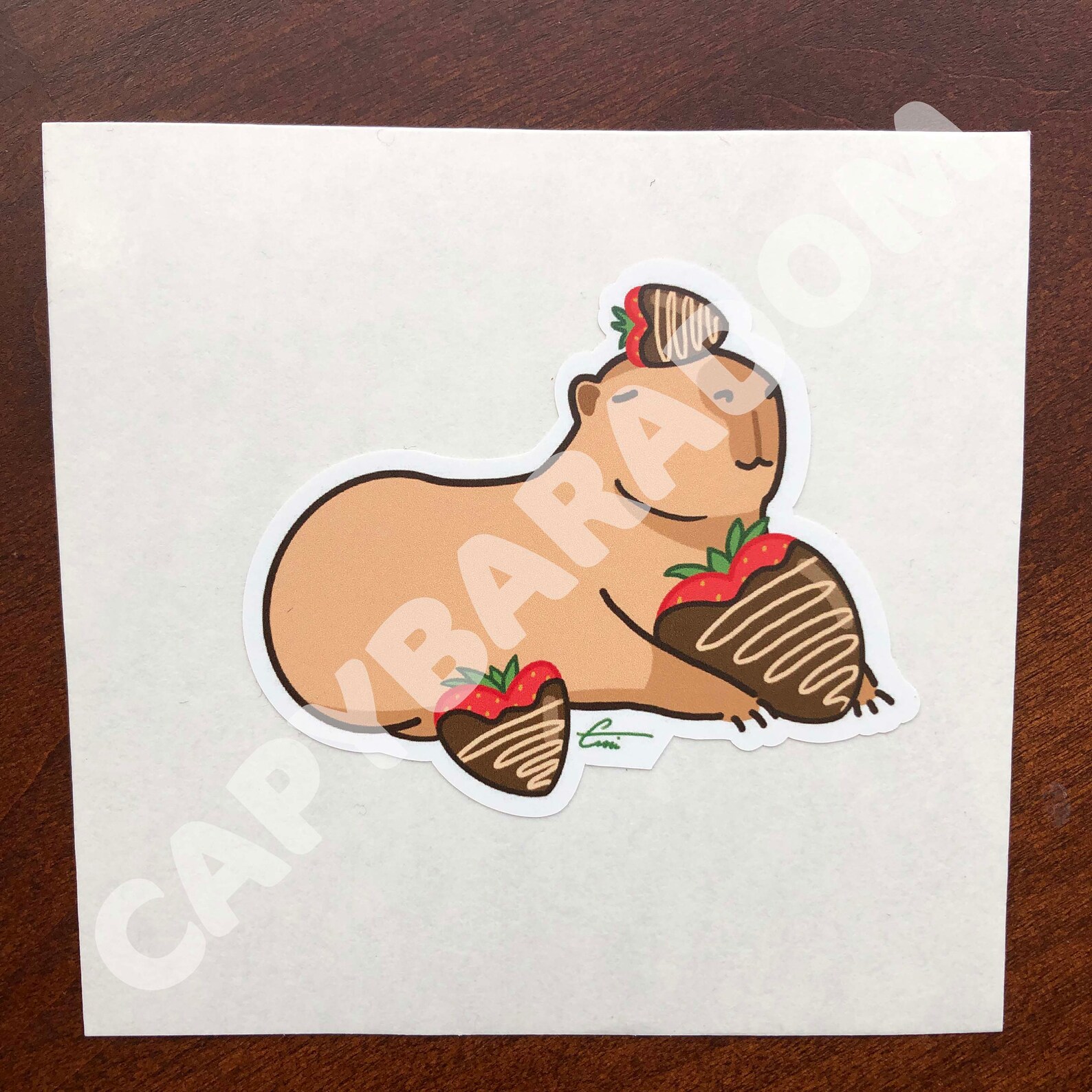 Capybara Fruit Sticker Pack - Etsy