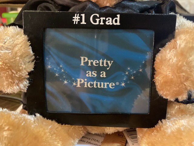 Dan Dee Collector's Choice Graduation Bear-#1 Grad - Etsy