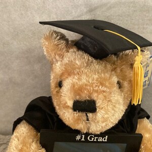 Dan Dee Collector's Choice Graduation Bear-#1 Grad - Etsy