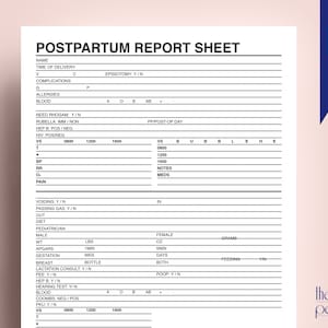 Printable Postpartum Report Sheet - Etsy